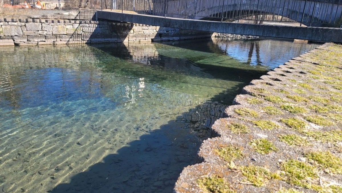 13 Must Visit Pennsylvania Springs for Nature Lovers