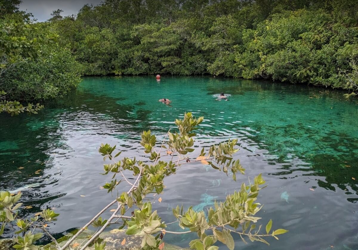 Beyond the Beaches: Exploring Spectacular Tulum Cenotes